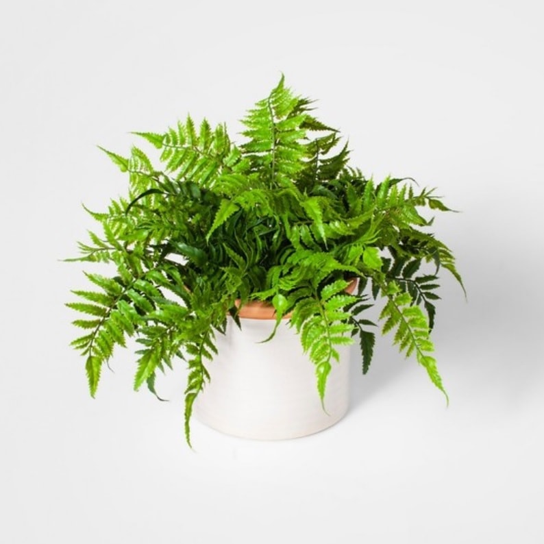 15"" Potted Artificial Boston Fern Green - Threshold Review - Smartest ...
