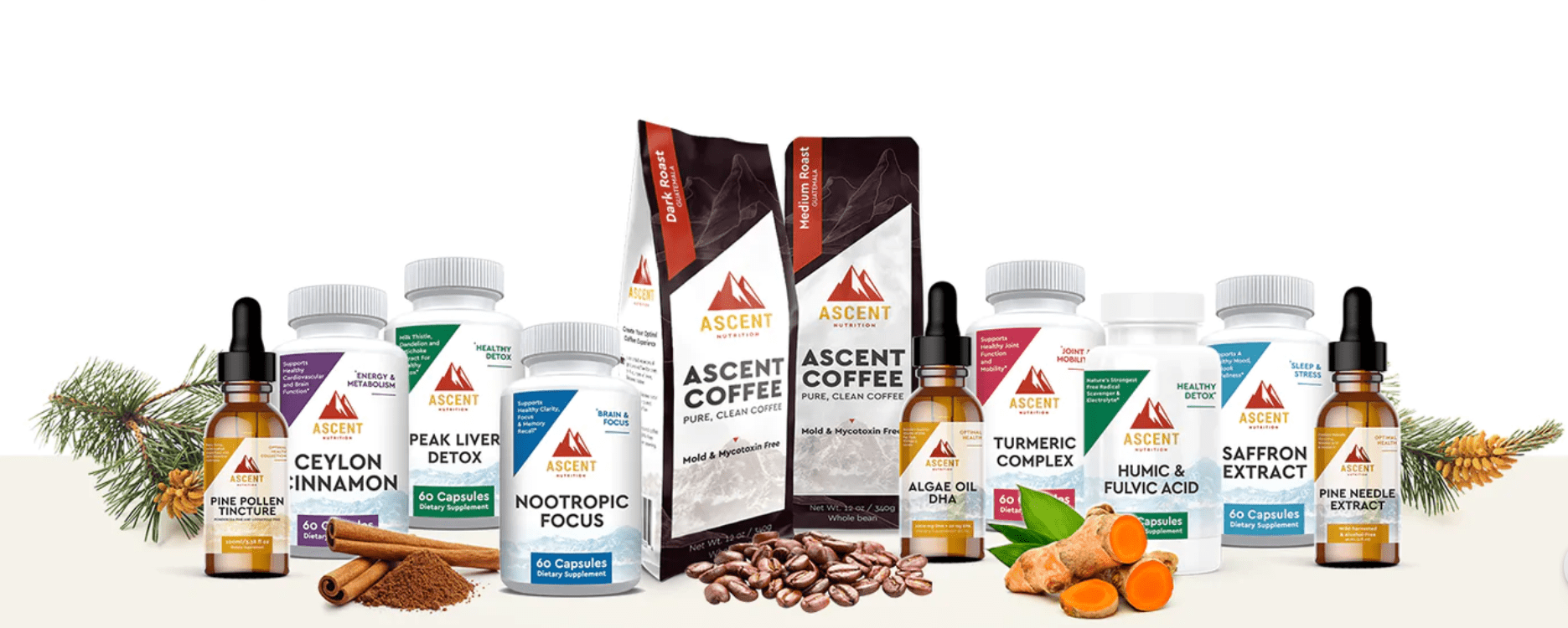 Ascent Nutrition Review - Smartest Reviews